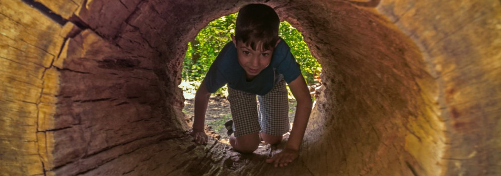 Aslacton Primary School - Clarion Corvus Trust - Aims and Values